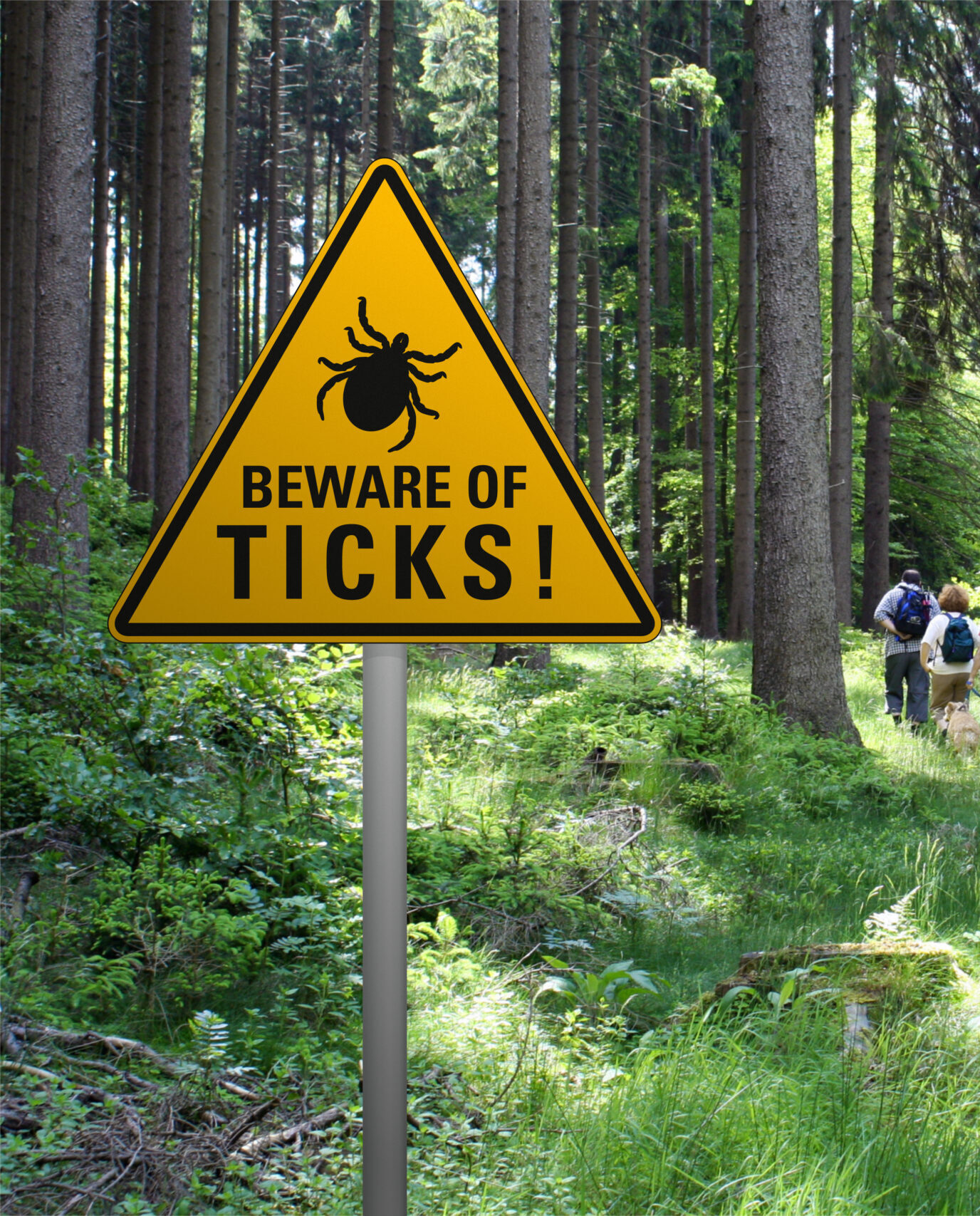Get the tips! Stop the Ticks! | One Health Nevada
