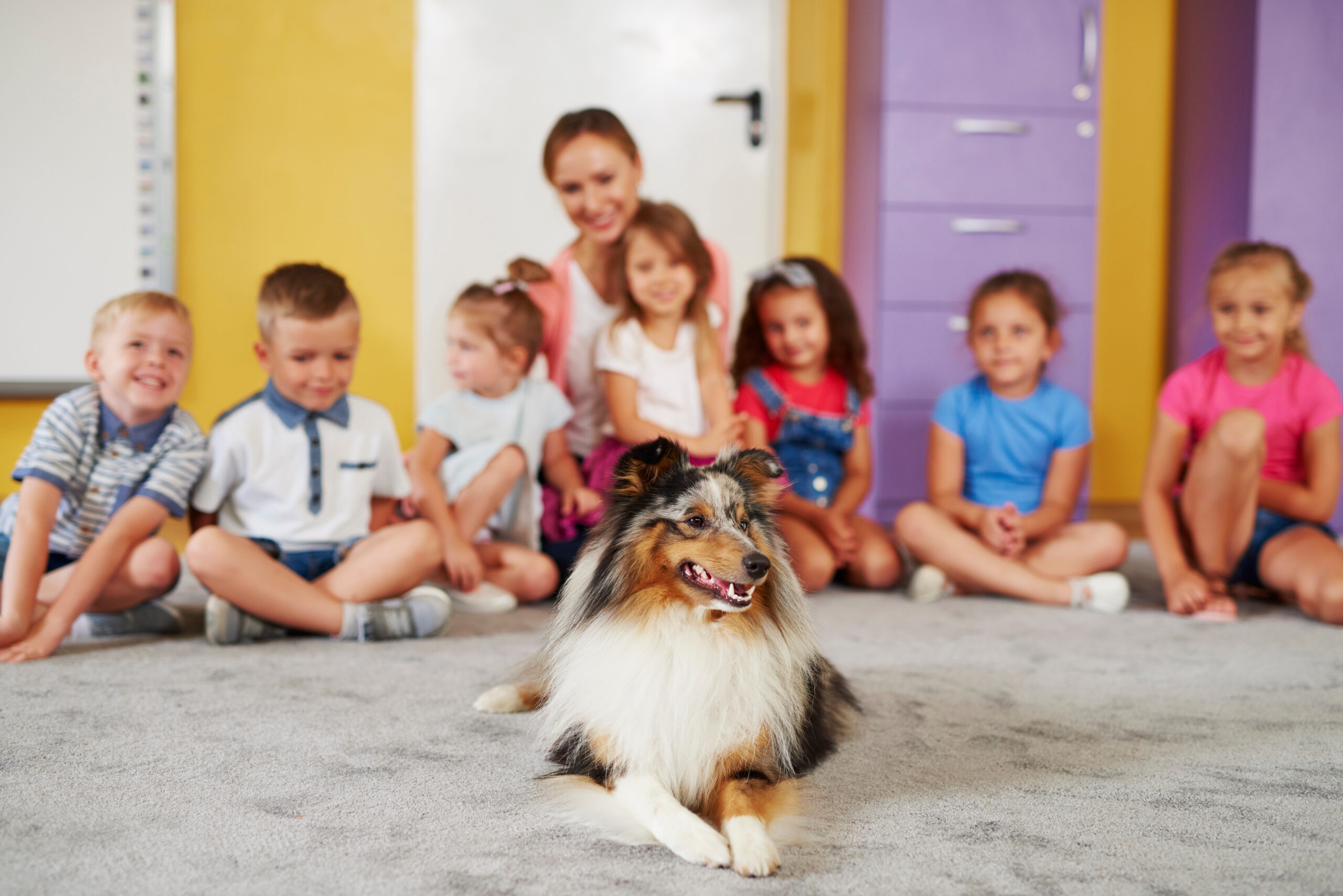 Keep Kids Safe Around Animals at School | One Health Nevada